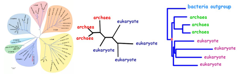 贝叶斯建树之 Mrbayes 篇 | Juse's Blog