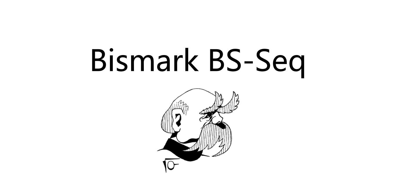 bismark 分析 Bisulfite-Seq 数据的流程示例 | Juse's Blog