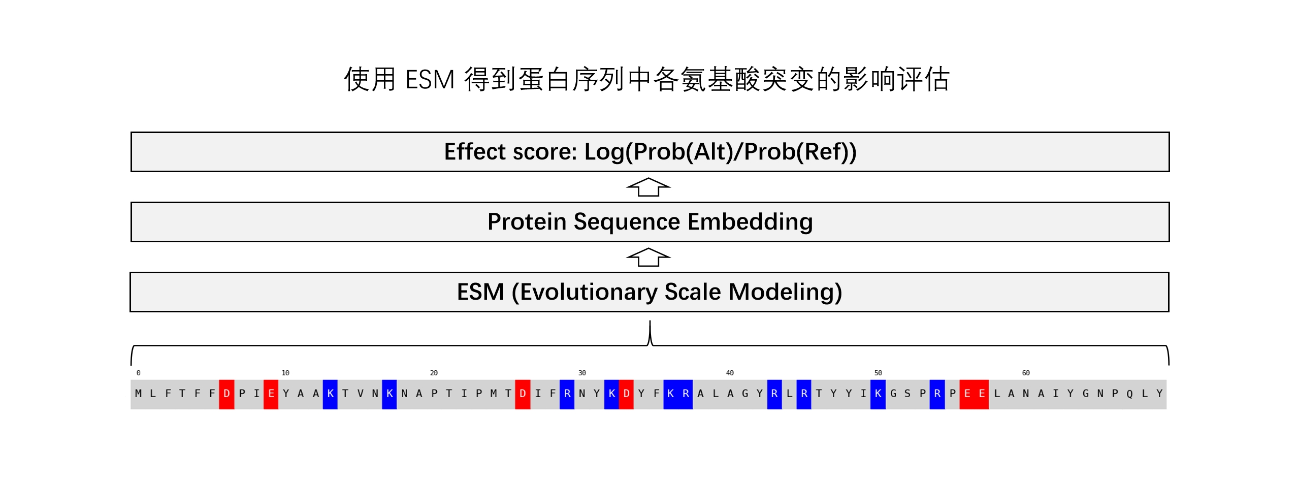 基于 US-align 计算两个蛋白结构之间的 RMSD 和 TM-score | Juse's Blog