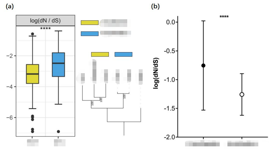 关于 PAML 的一二三事 | Juse's Blog